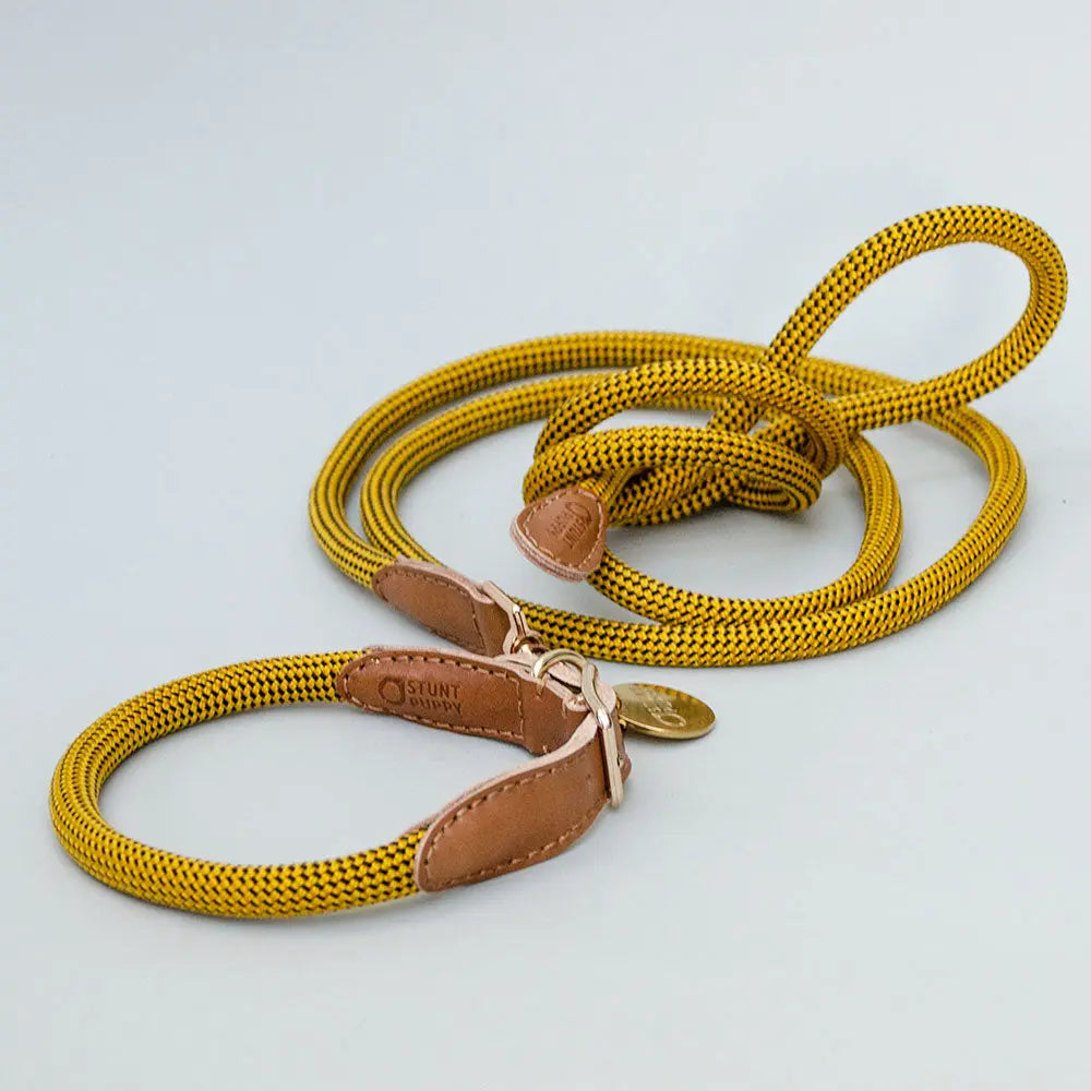 Das vintage Hundehalsband "Mountain" - senf - 4legs.de
