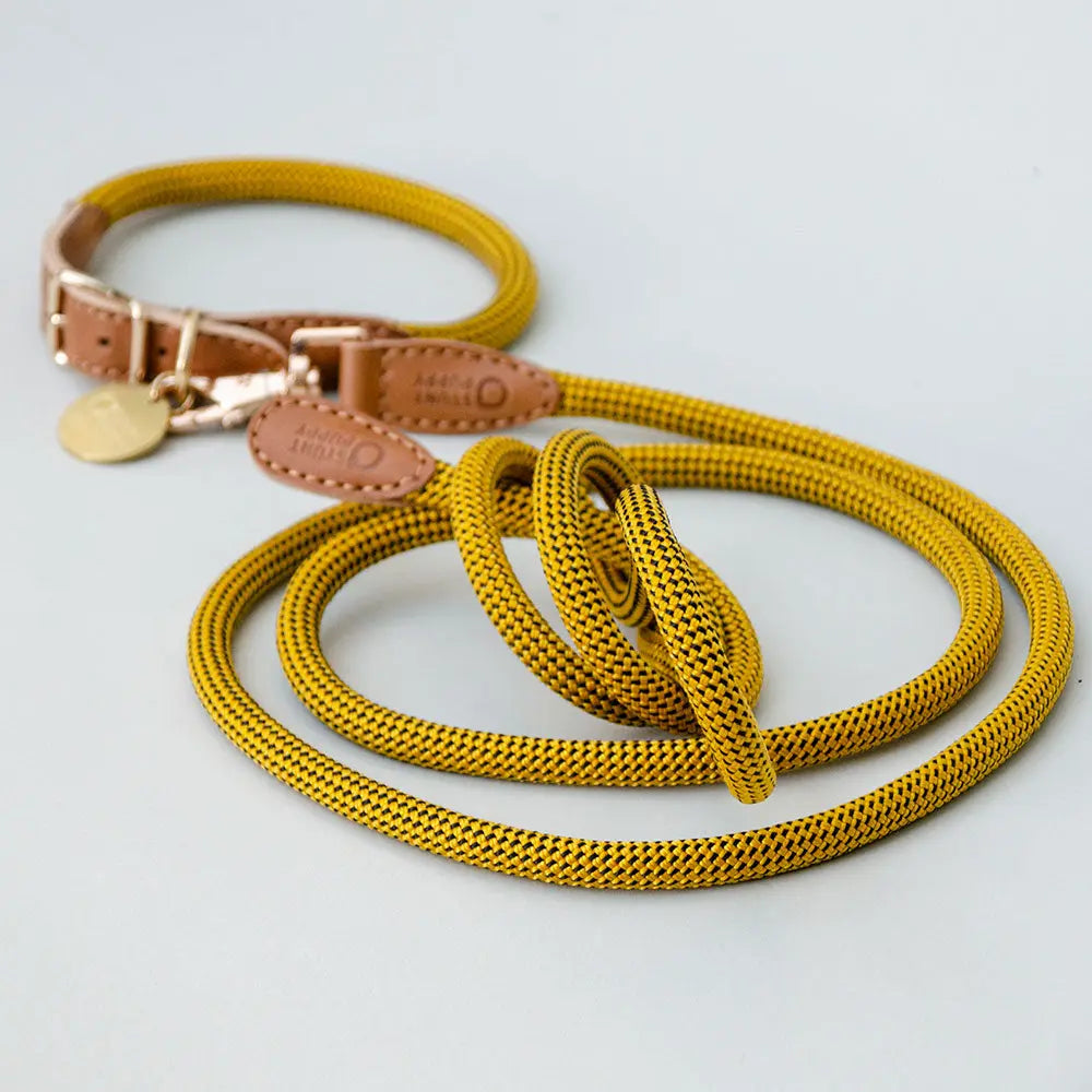Das vintage Hundehalsband "Mountain" - senf - 4legs.de