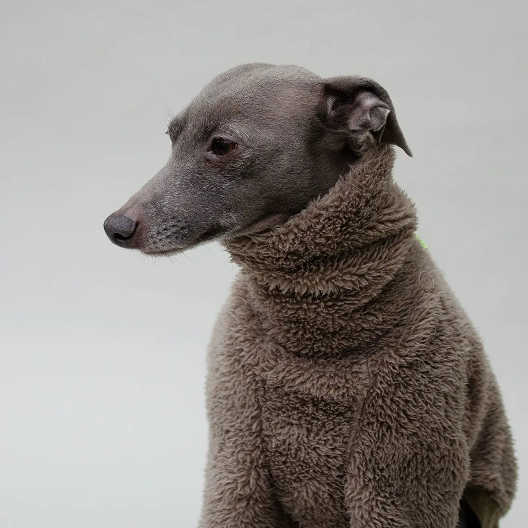 Hunde-Pulli "Grizzly" beige khaki - 4legs.de