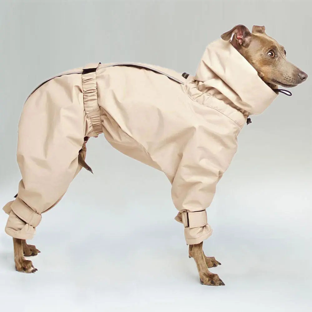 Kelly IG Snow - winter Hundeoverall - beige - SDW - 4legs.de