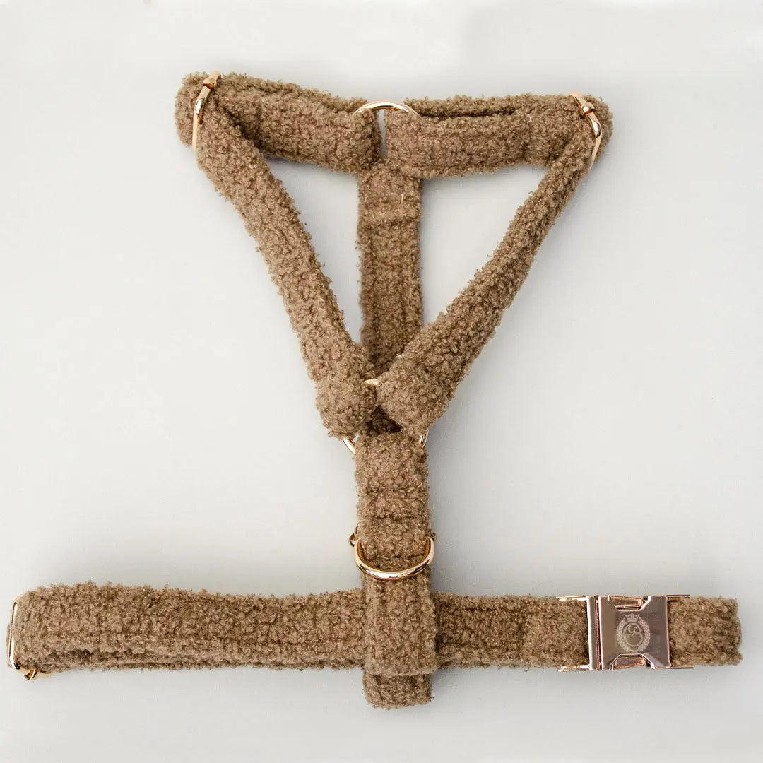 Cuddly dog harness “Teddy Bear” - 4legs.de