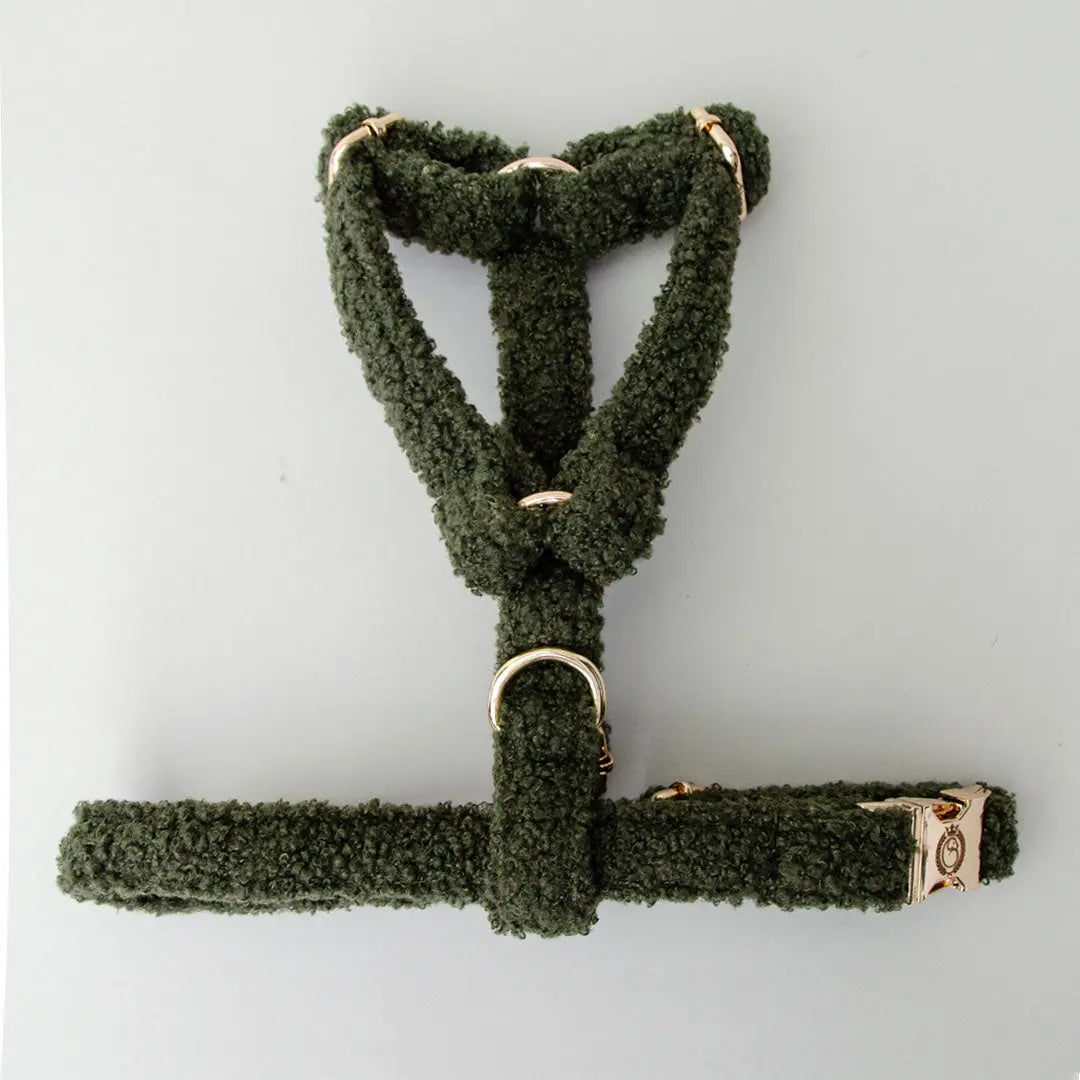 Cuddly dog harness “Teddy Bear” - 4legs.de