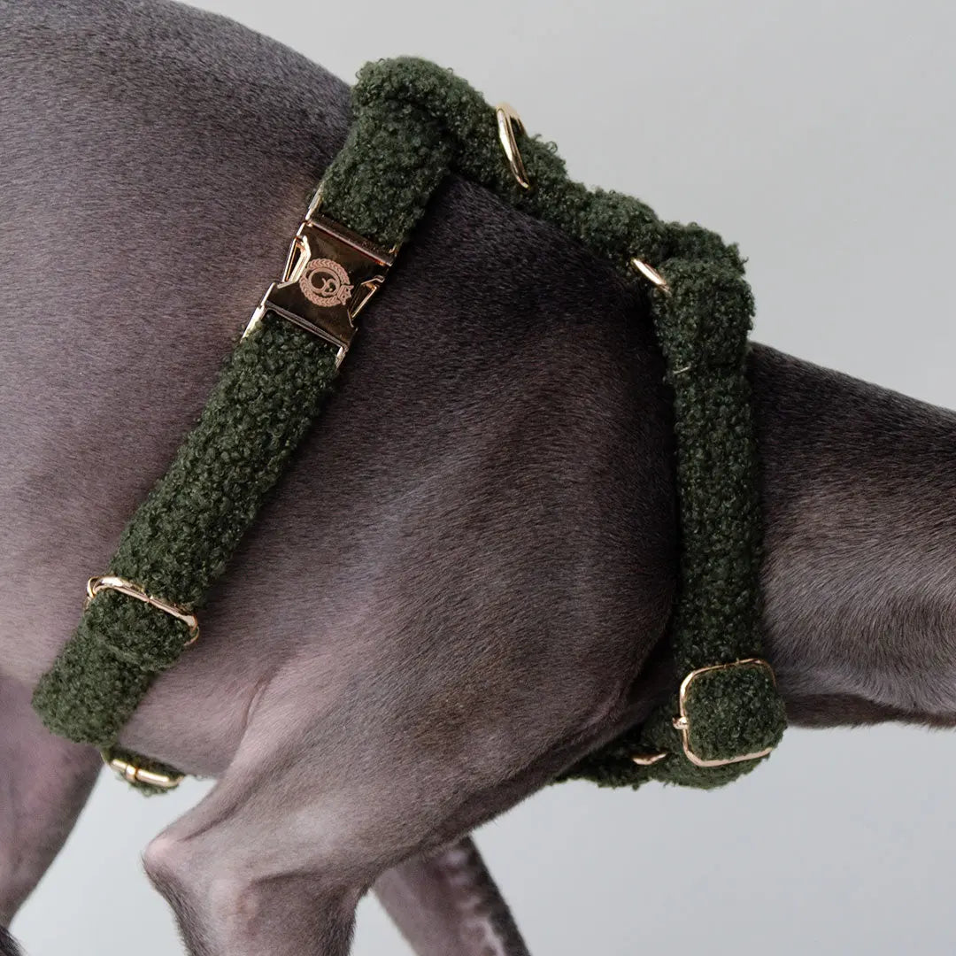 Cuddly dog harness “Teddy Bear” - 4legs.de