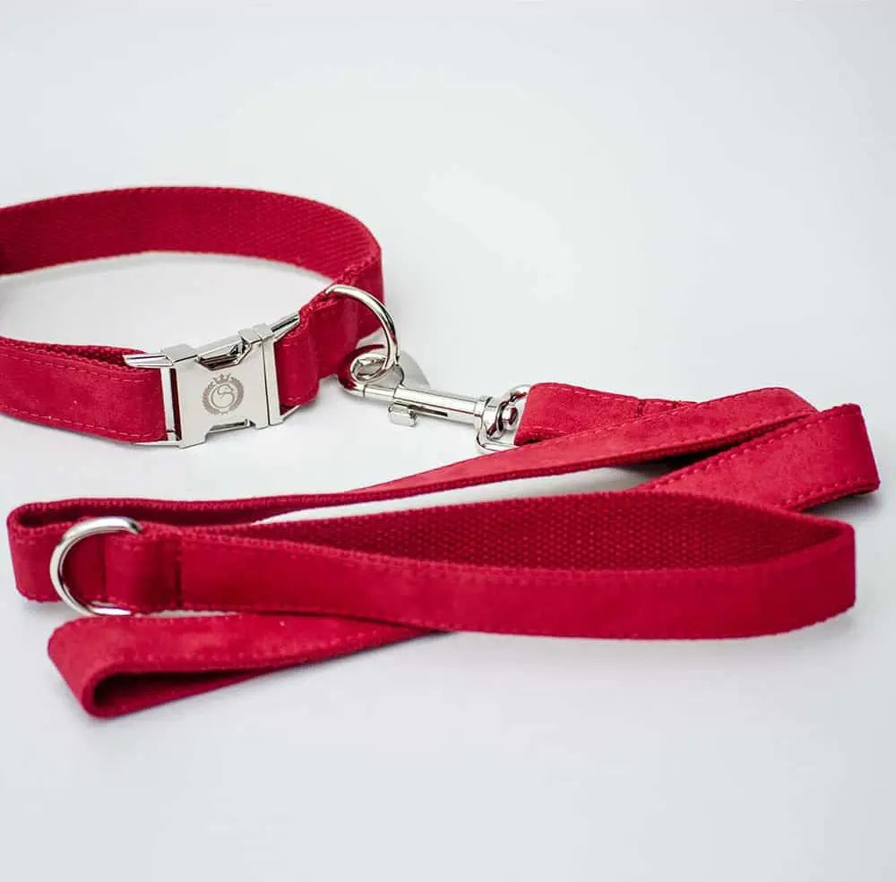 Velor dog collar "Color Up" - Red - 4legs.de