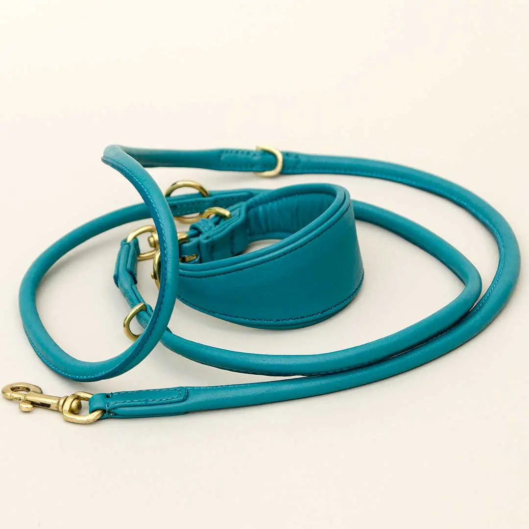 Greyhound leather collar "Eden" - Ocean - 4legs.de